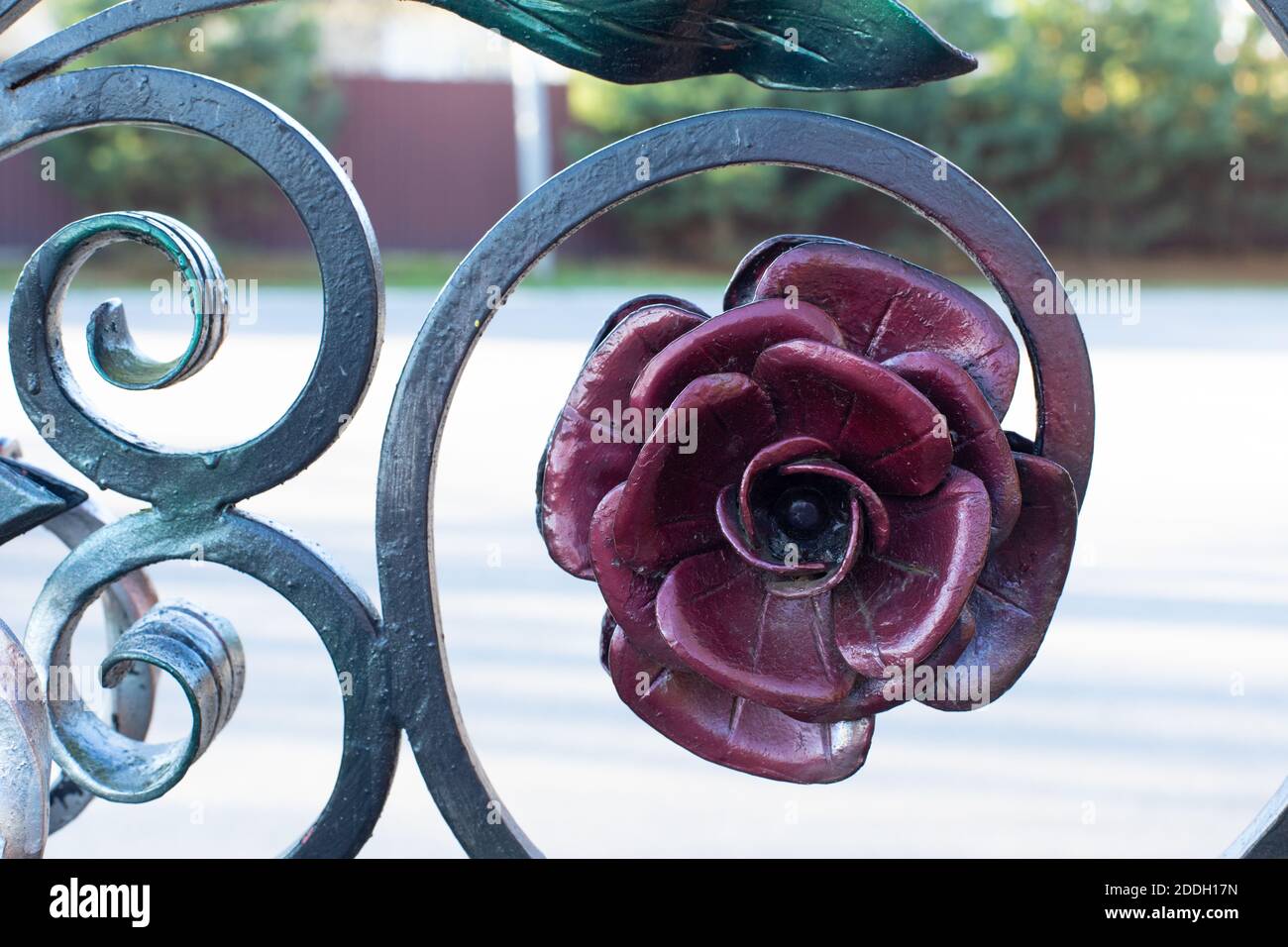 Metal flower in the design of a forged gate close-up, an iron flower ...