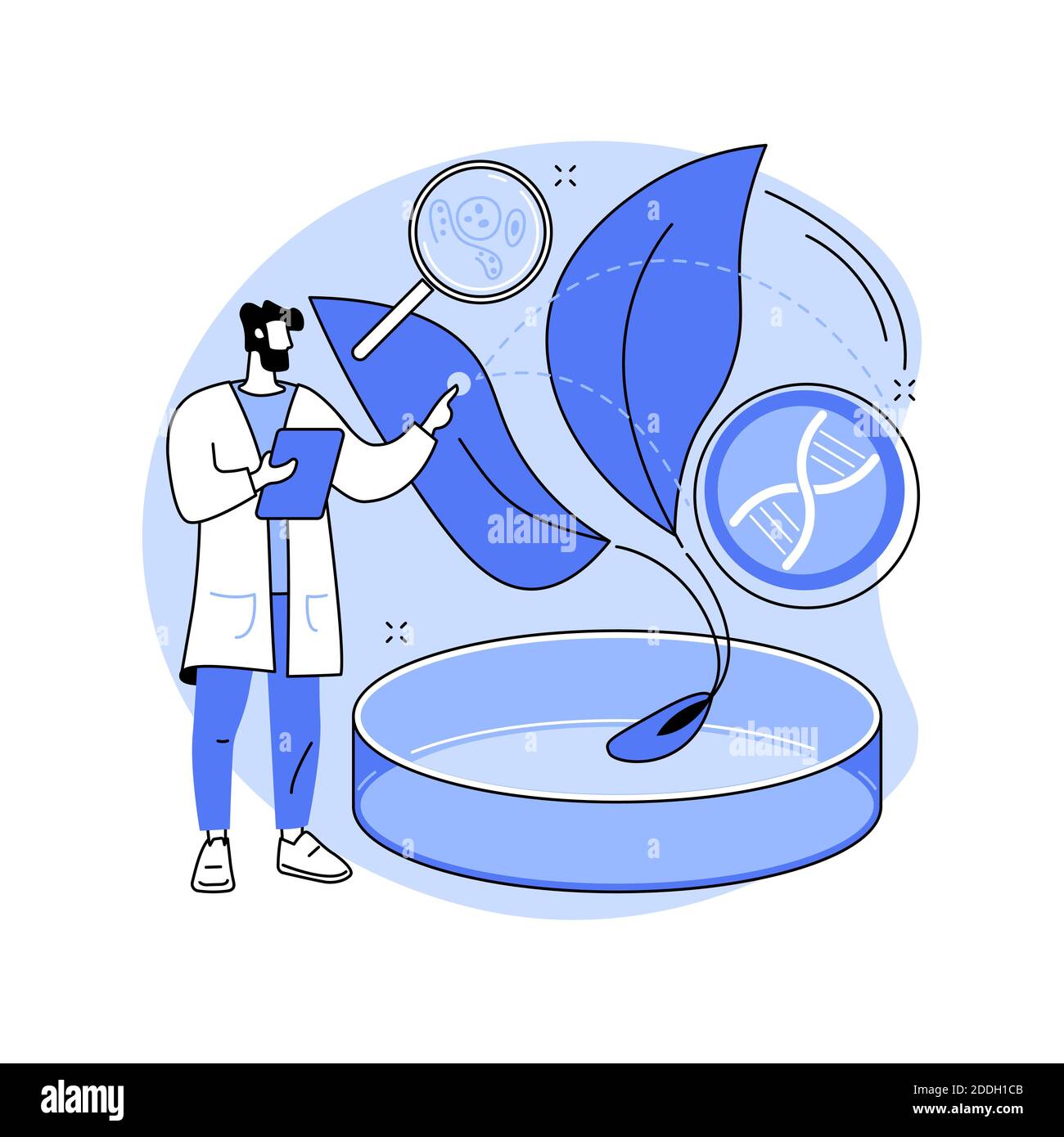 Genetically modified plants abstract concept vector illustration Stock Vector Image & Art - Alamy