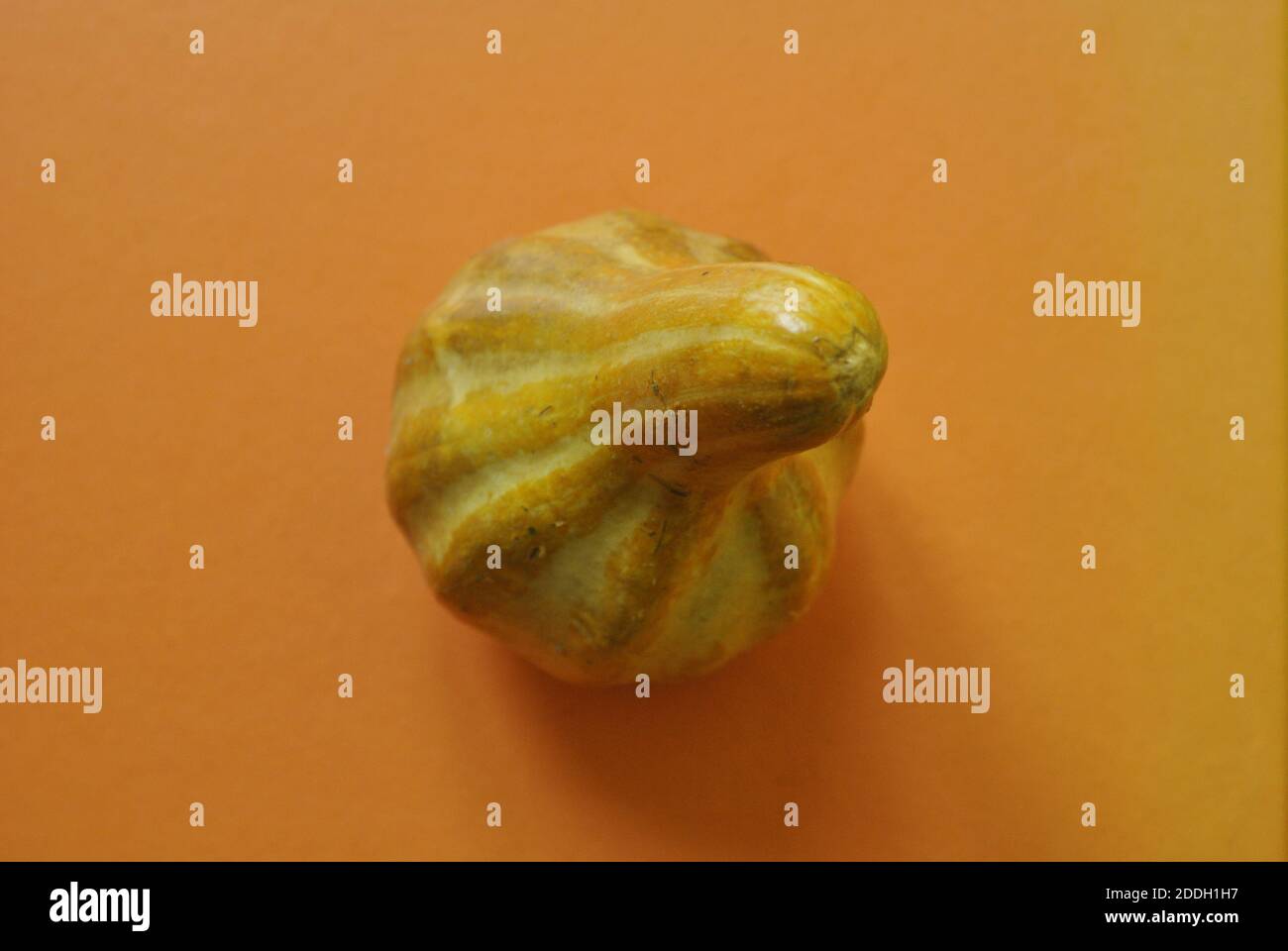 Non edible fruits hi-res stock photography and images - Alamy