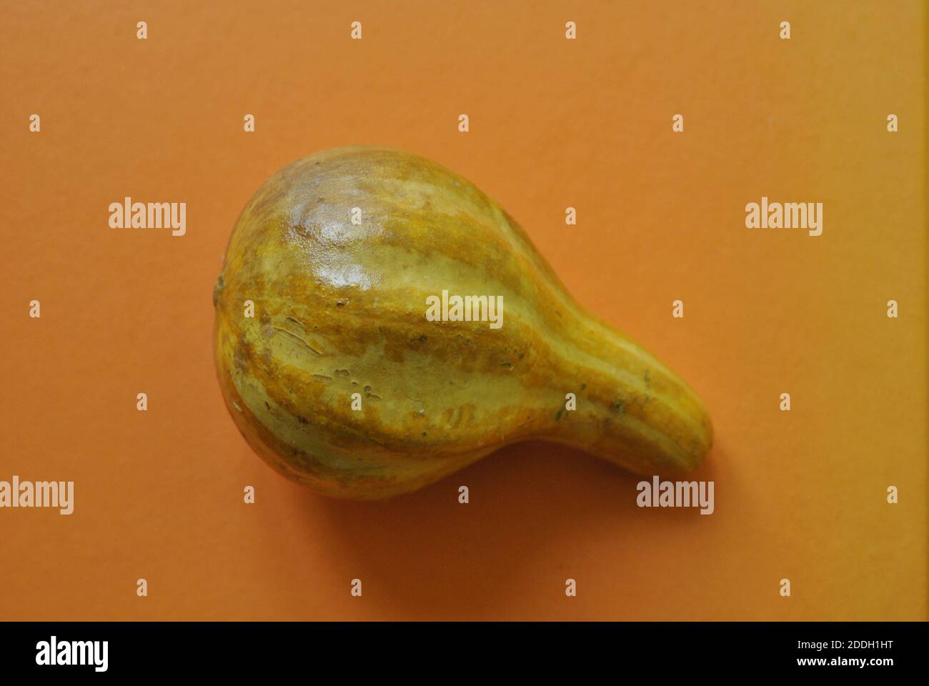Non edible fruits hi-res stock photography and images - Alamy
