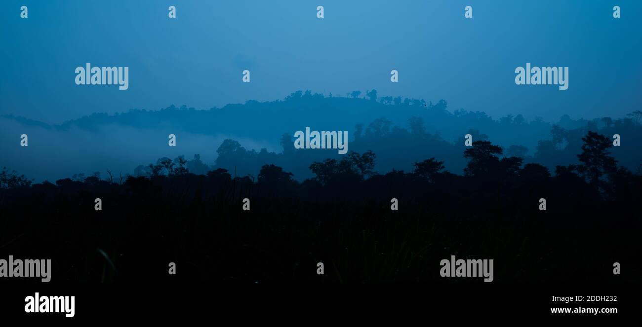 Evergreen rainforest mountains captured during an early foggy morning ...