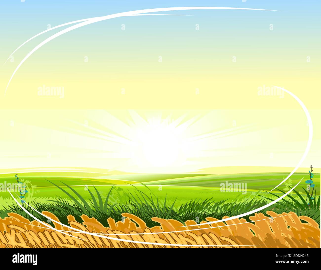 Field background spikelets Stock Vector Images - Alamy