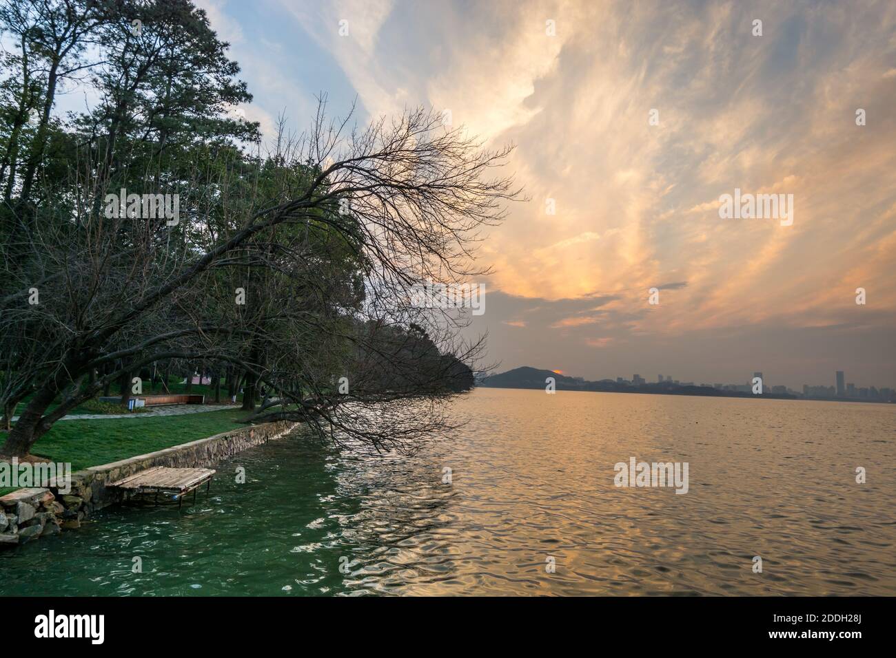 Tree in the winter, lake and twilight at the Donghu (East Lake) of ...