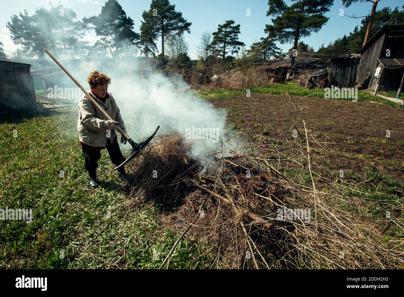 An old woman burns branches near the house on her farm in the village ...