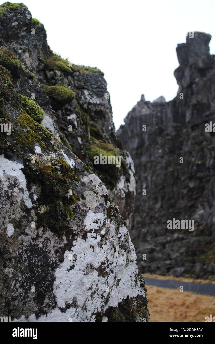 moss covered multi-colored rock Stock Photo - Alamy