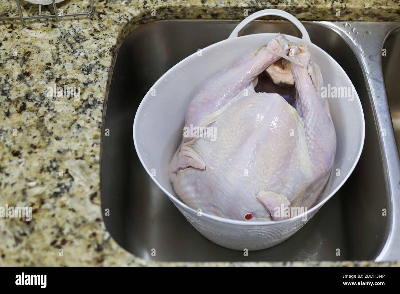 Frozen turkey sink hi-res stock photography and images - Alamy