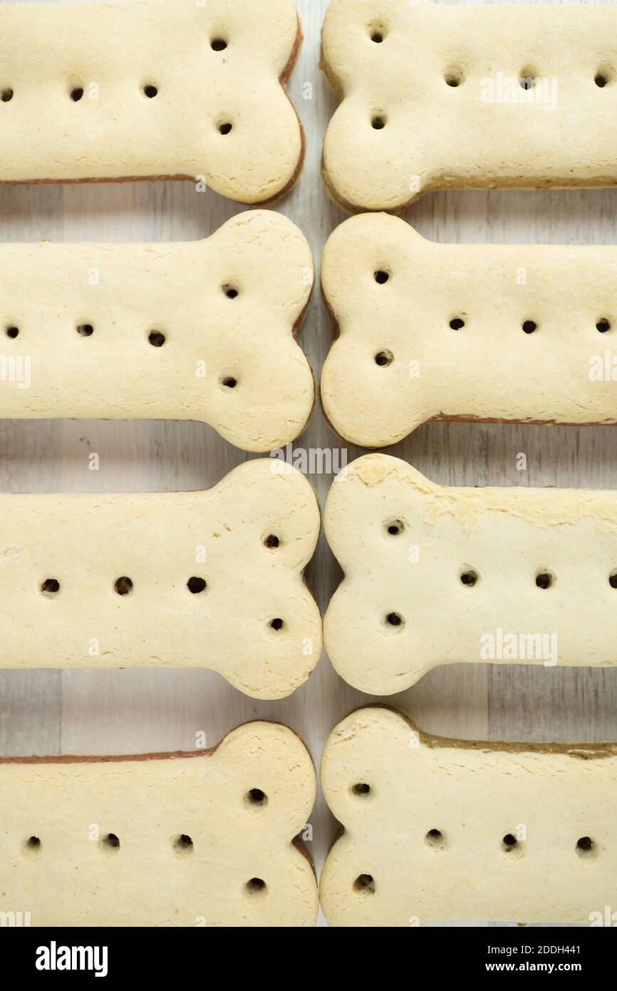 A vertical closeup shot of dog chewing biscuits Stock Photo - Alamy