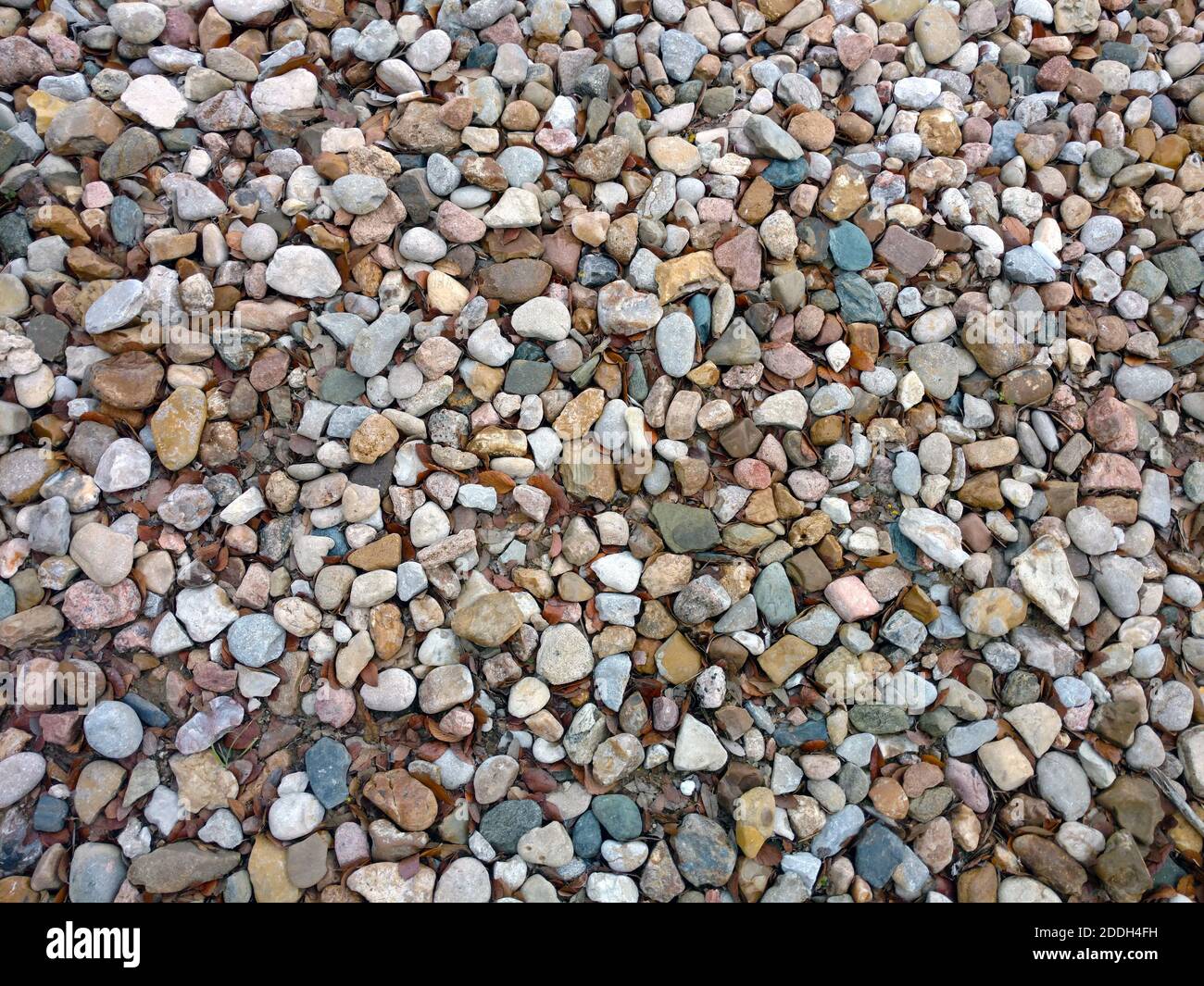colorful beach pebbles stone rocks path overhead view with deep shadows ...