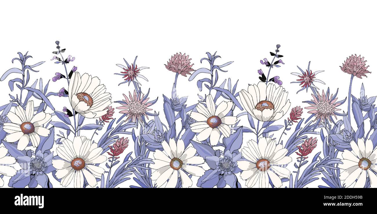 Vector floral seamless border. Flower background. Seamless pattern ...