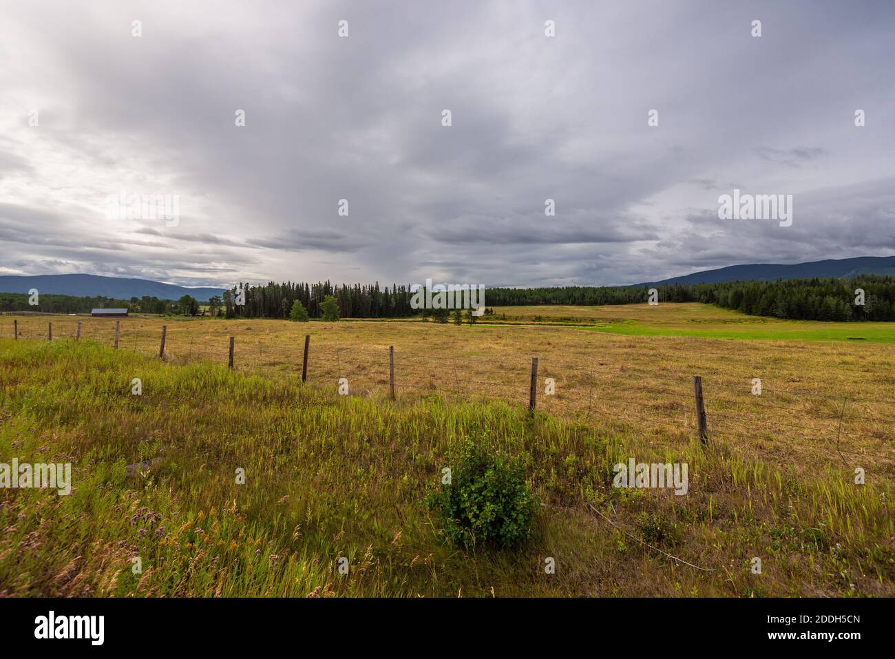 nature sceneries along the E16 from Prince Rupert to Smithers, BC ...