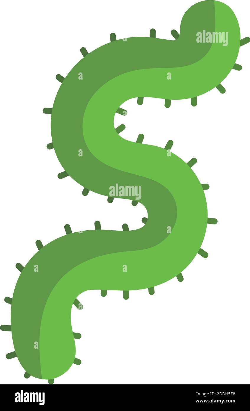 worm insect animal in cartoon flat icon style vector illustration Stock ...