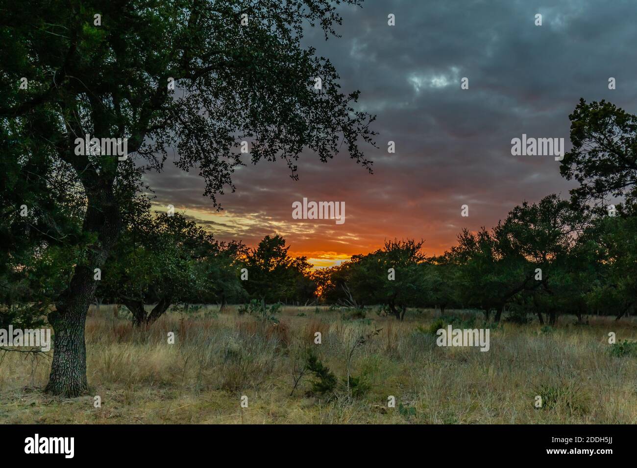 Texas hill country sunset Stock Photo - Alamy