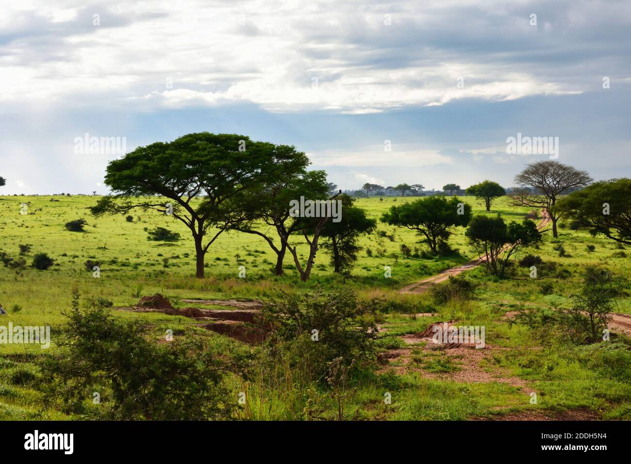 African Outback High Resolution Stock Photography and Images - Alamy