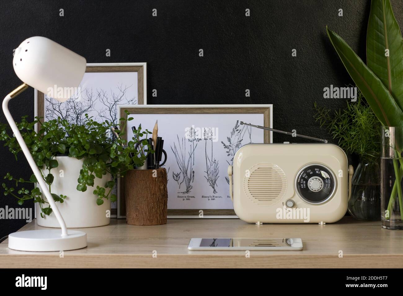 A beautiful but cluttered home office desk with natural decor elements ...