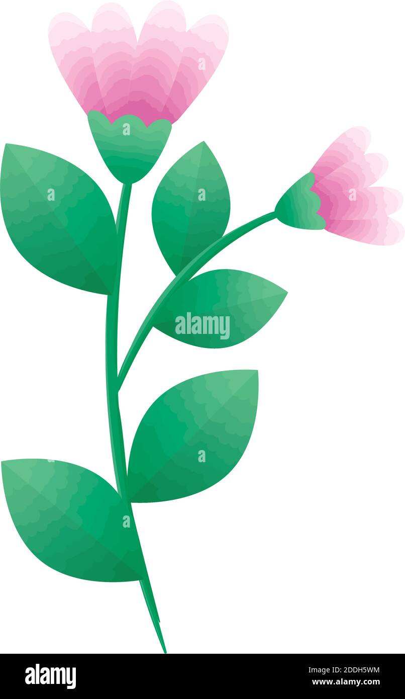 Rosal flower Stock Vector Images - Alamy