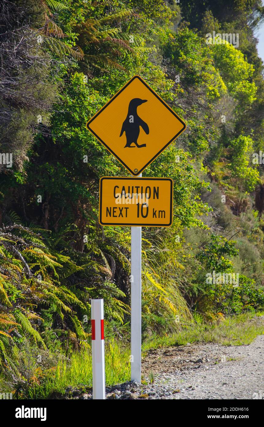A vertical shot of a yellow caution sign with penguin in New Zealand ...