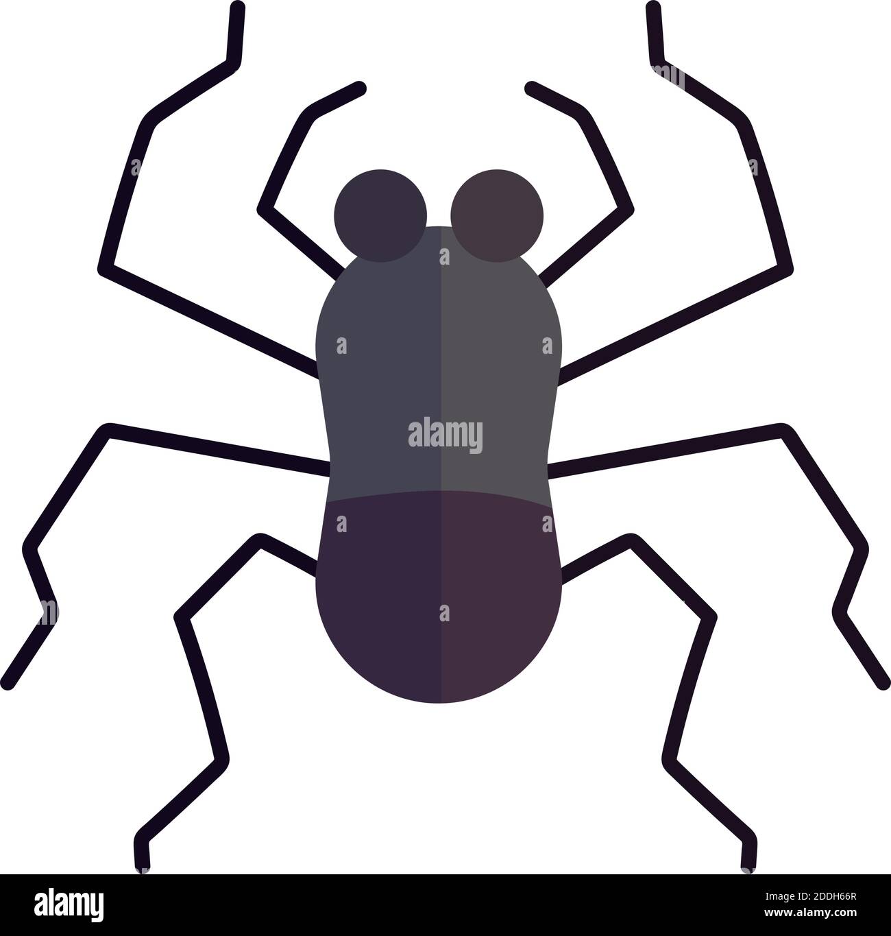spider insect animal in cartoon flat icon style vector illustration ...