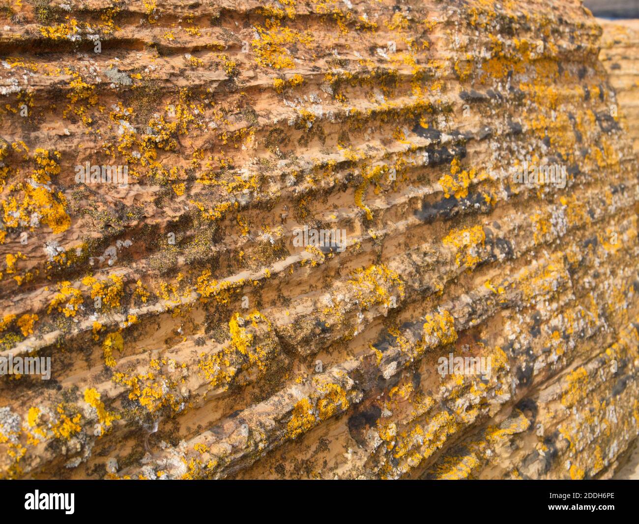 Devonian sandstone rocks hi-res stock photography and images - Alamy