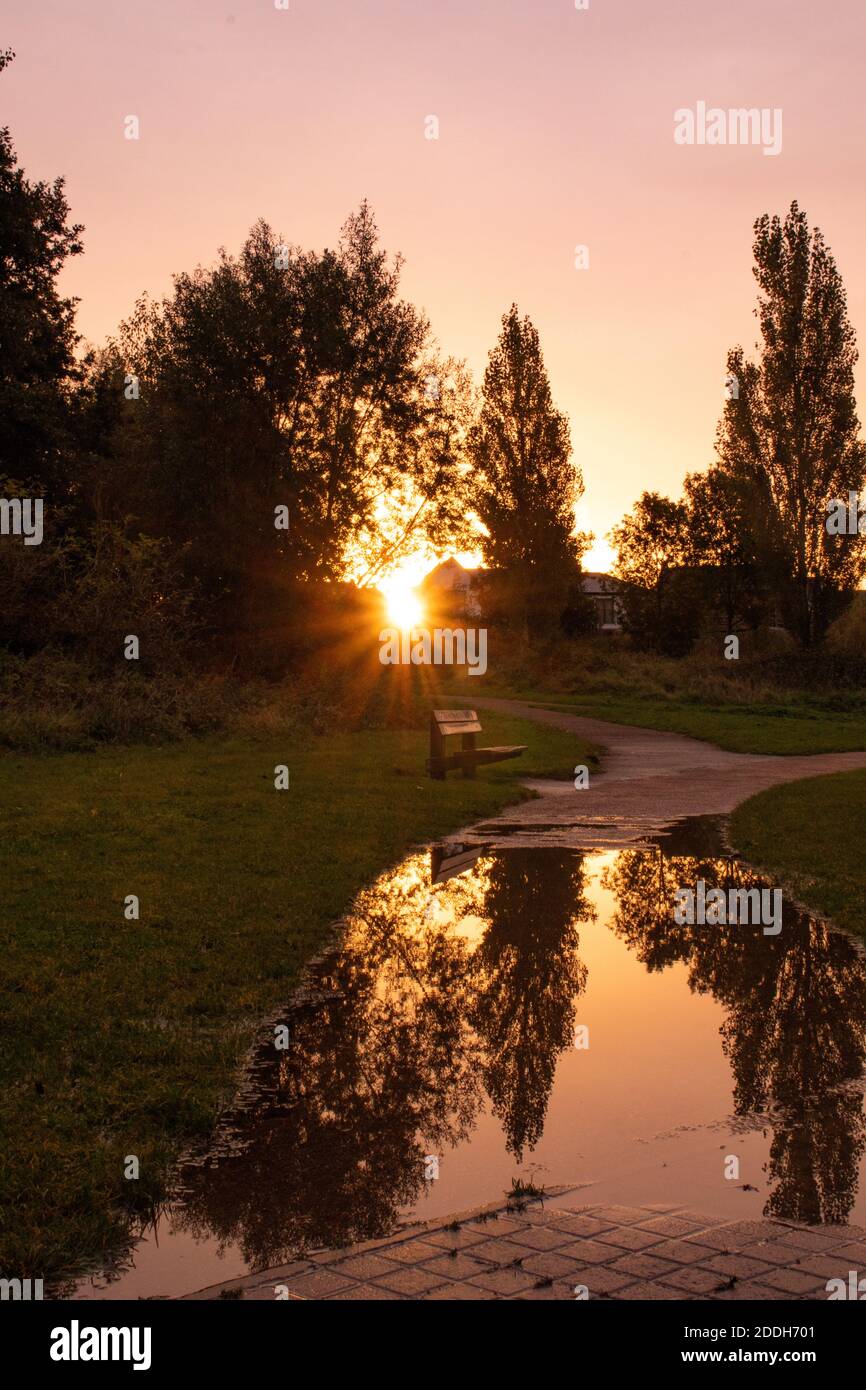 Clear puddle hi-res stock photography and images - Alamy