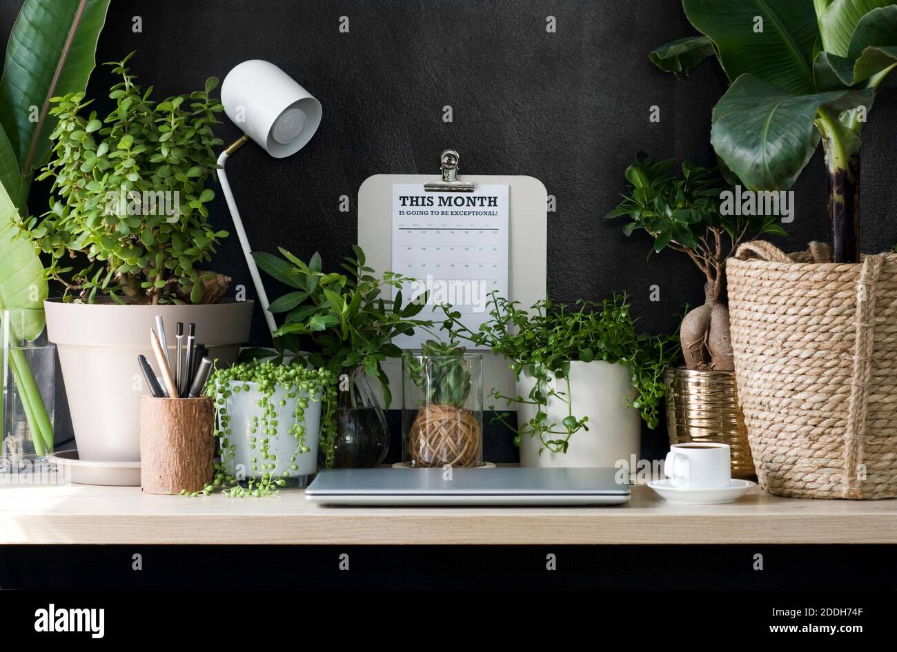 This biophilic home office desk invites nature indoors. The work space ...