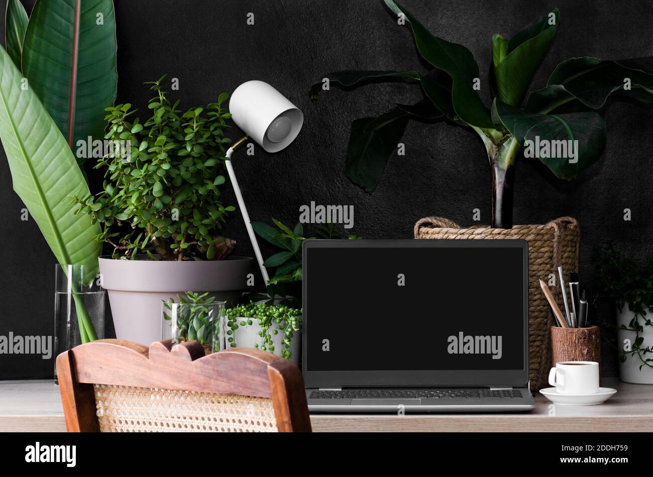 This biophilic home office desk invites nature indoors. The work space ...