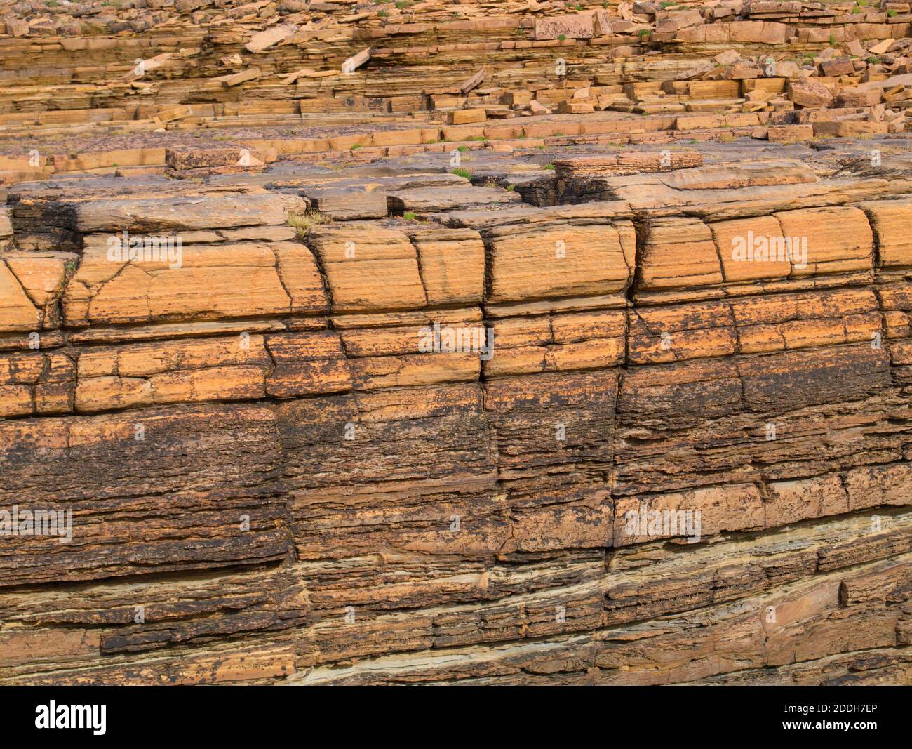 Old devonian sandstone hi-res stock photography and images - Alamy
