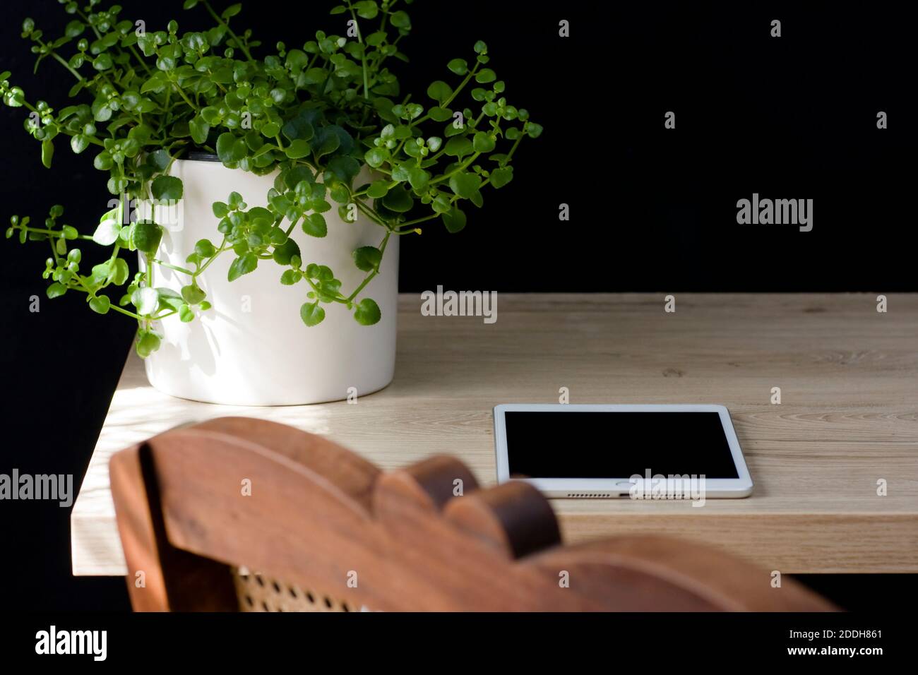 Morning sun rays fall on a tranquil home office desk. The space is ...