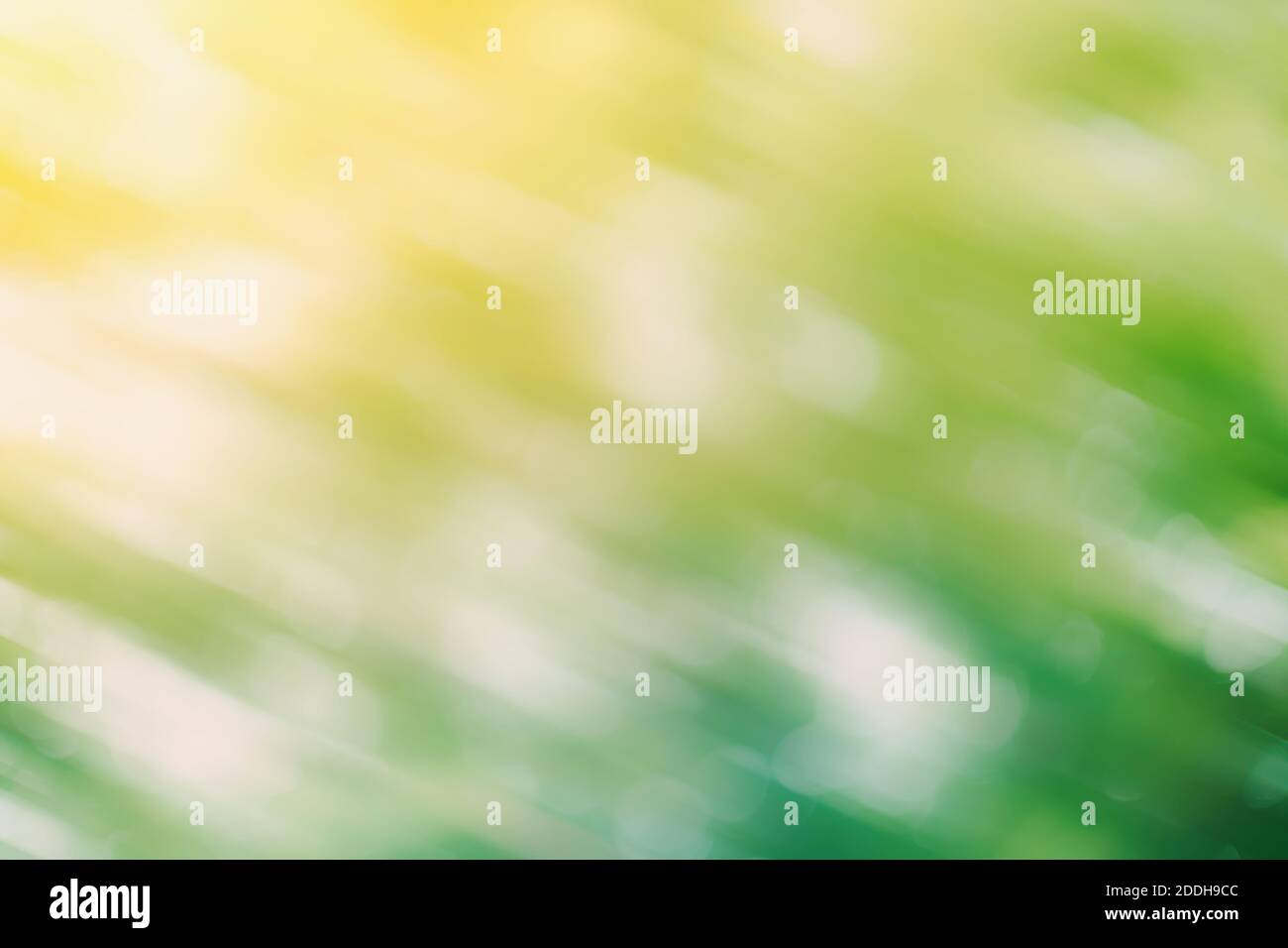 defocused blur background of garden trees in sunlight Stock Photo - Alamy