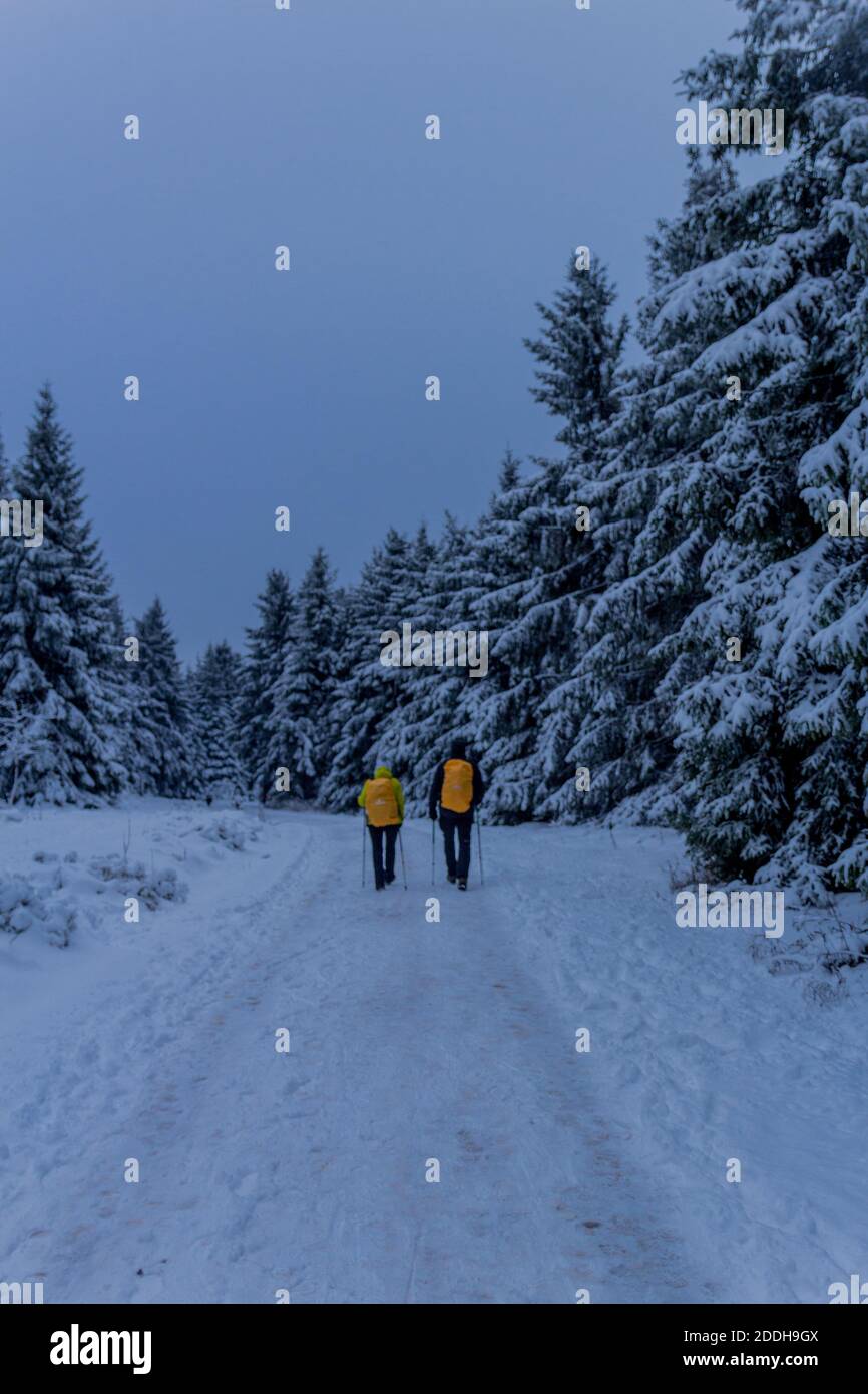 First small winter hike along the Rennsteig through the Thuringian ...