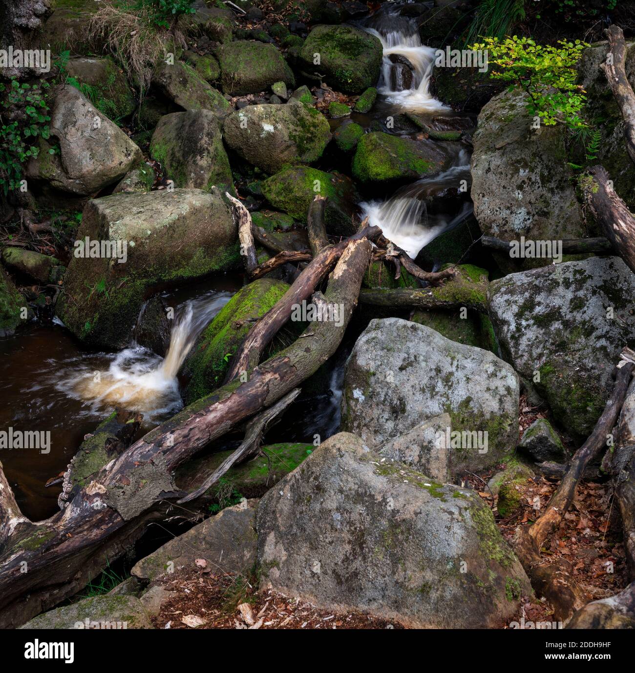 Waterfalls Padley Gorge Peak District Derbyshire England,UK Stock Photo ...