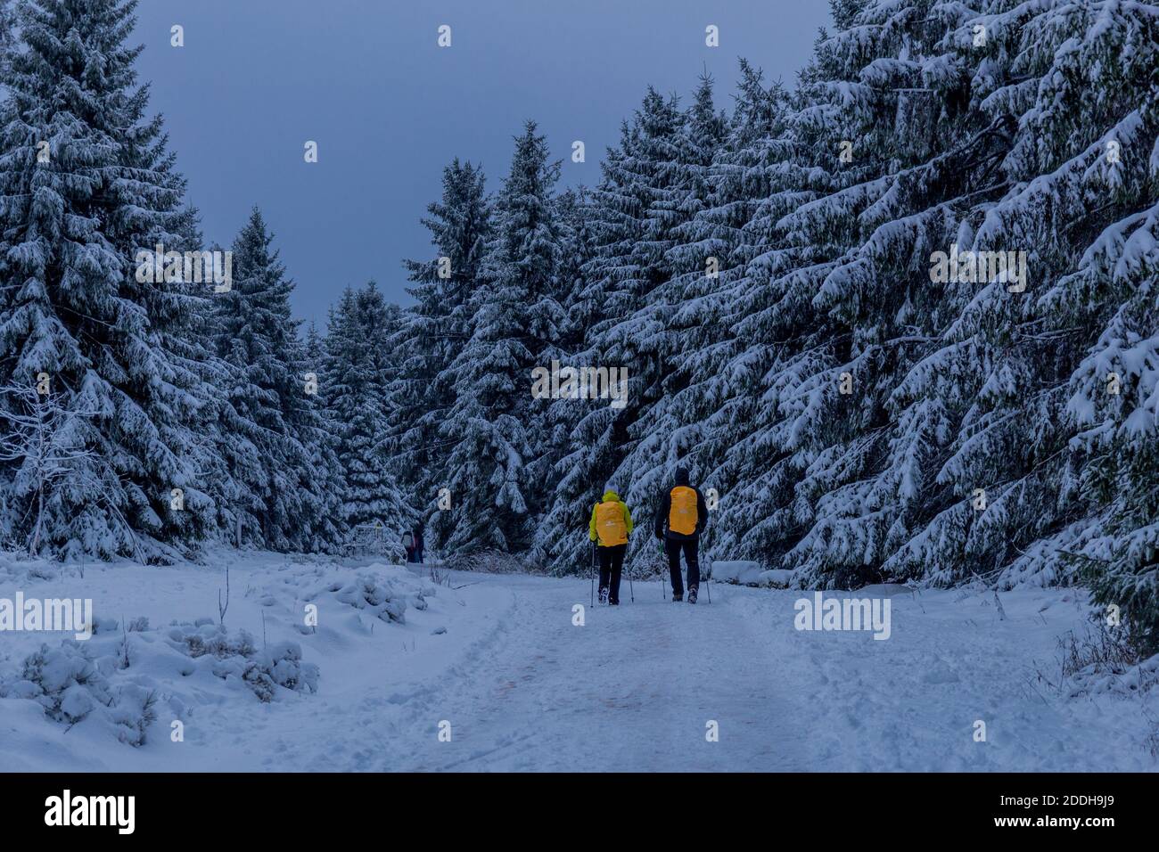 First small winter hike along the Rennsteig through the Thuringian ...