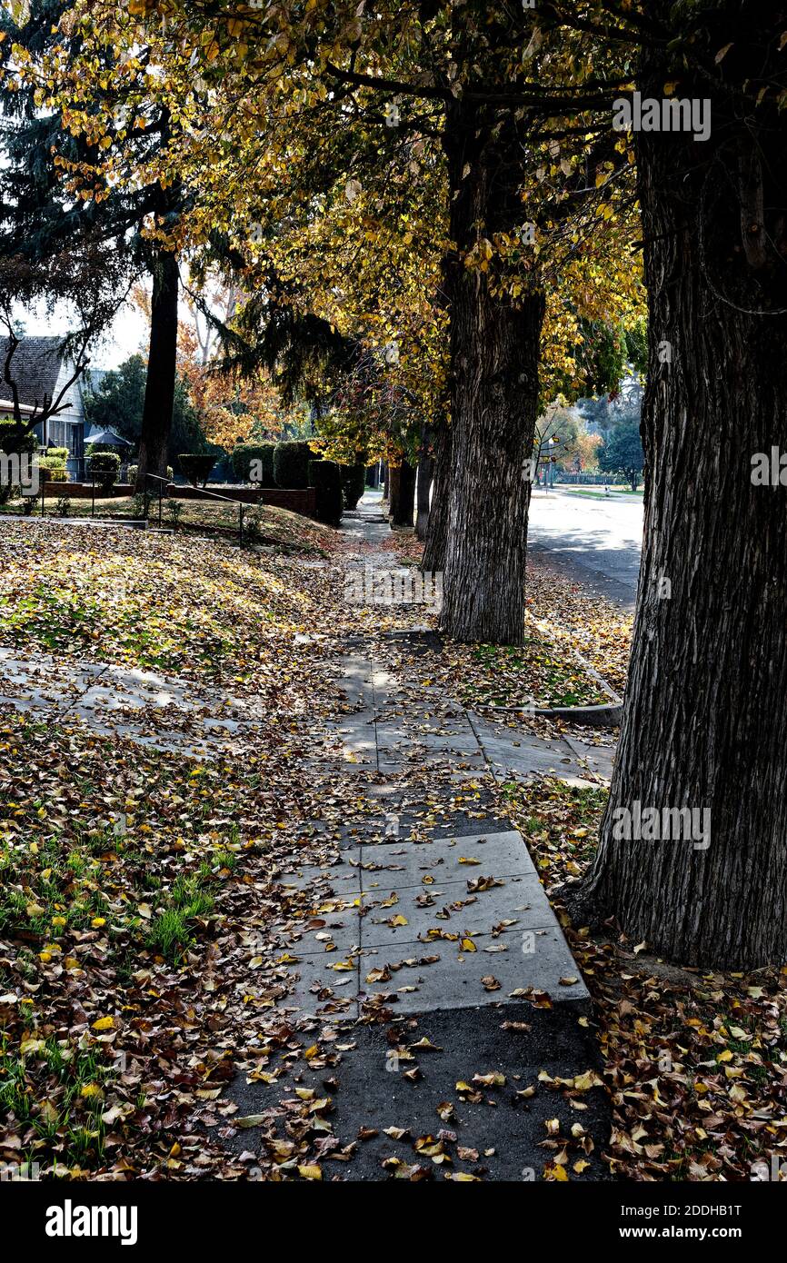 Shady lane hi-res stock photography and images - Alamy