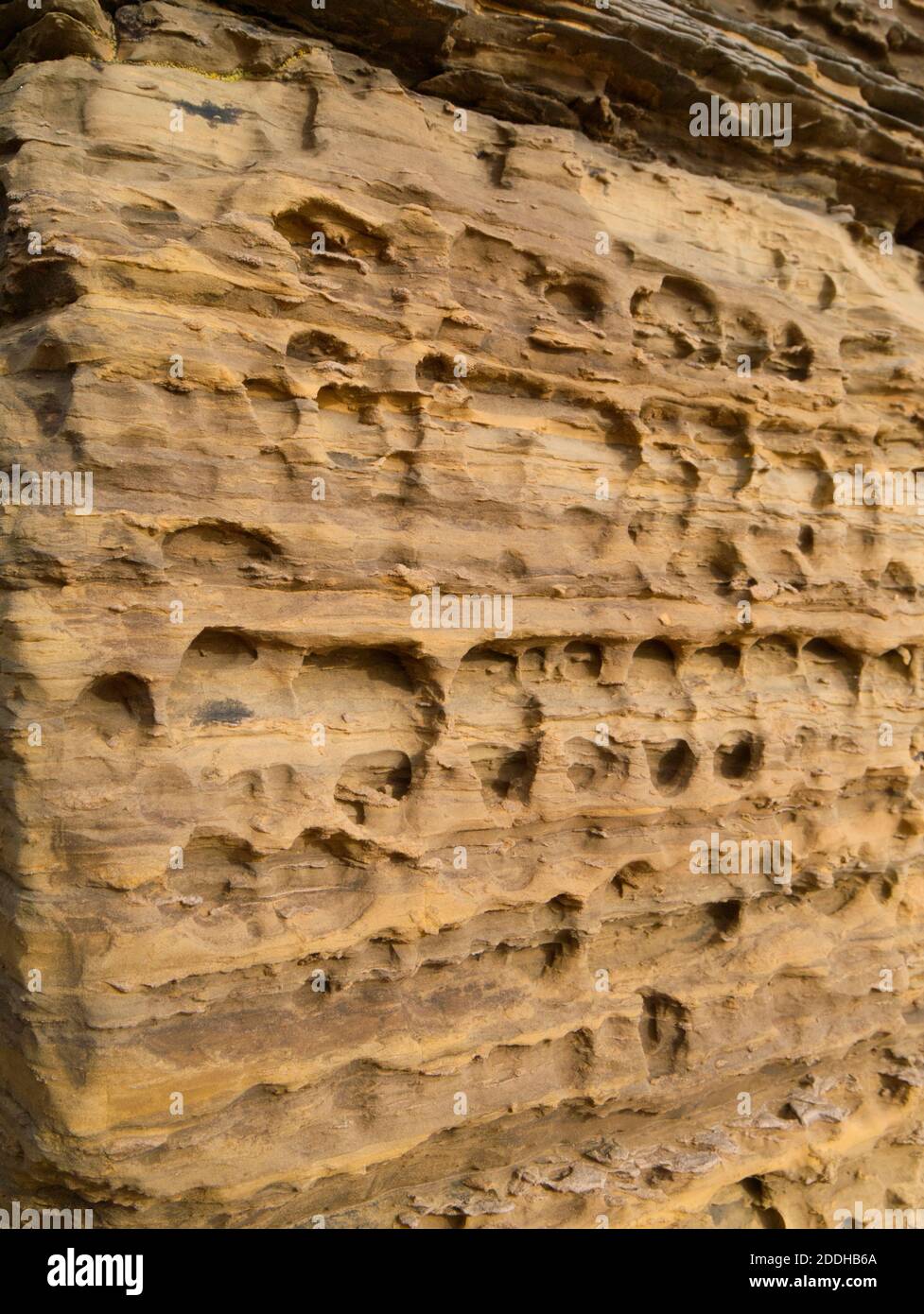 Old devonian sandstone hi-res stock photography and images - Alamy