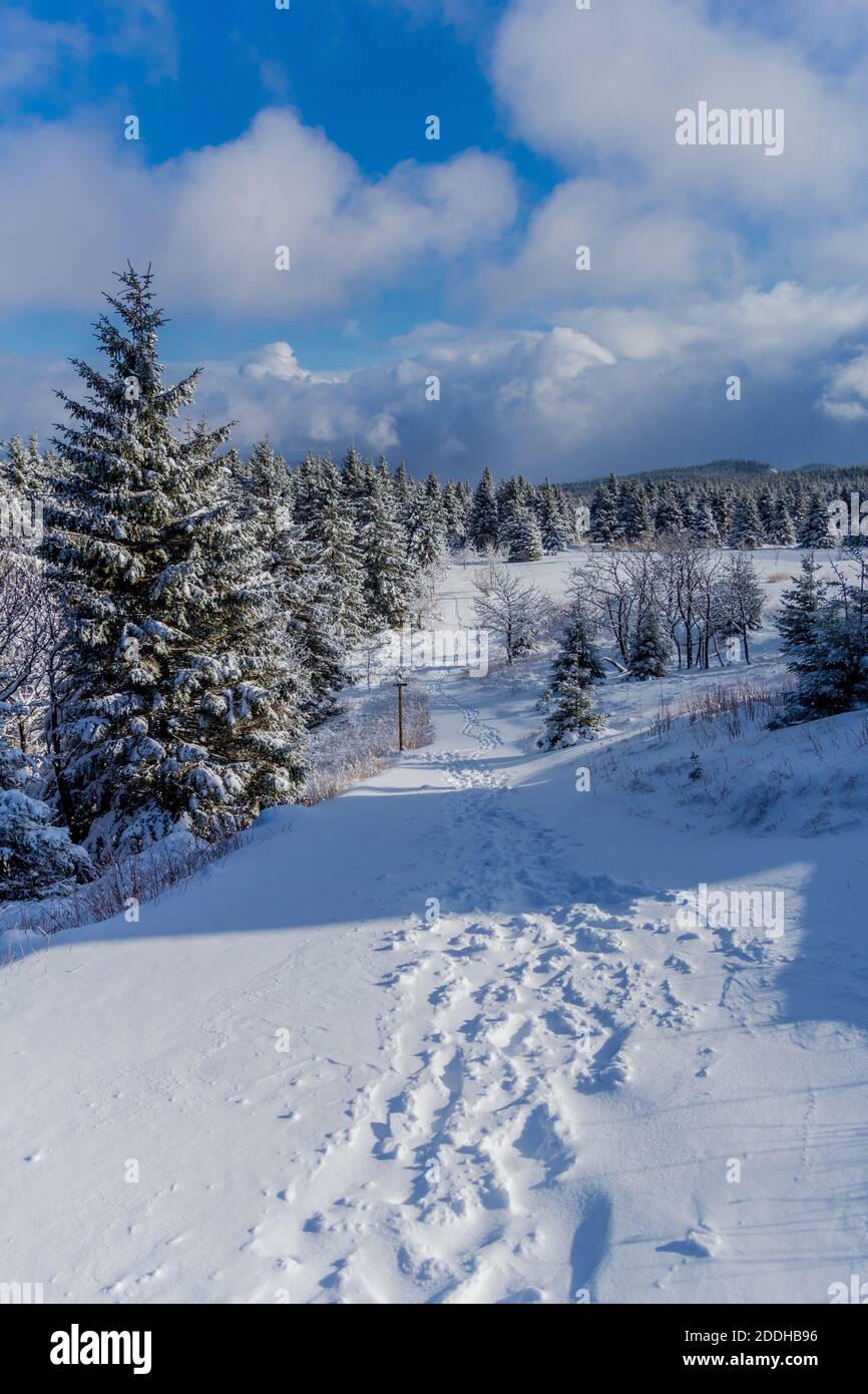 First small winter hike along the Rennsteig through the Thuringian ...