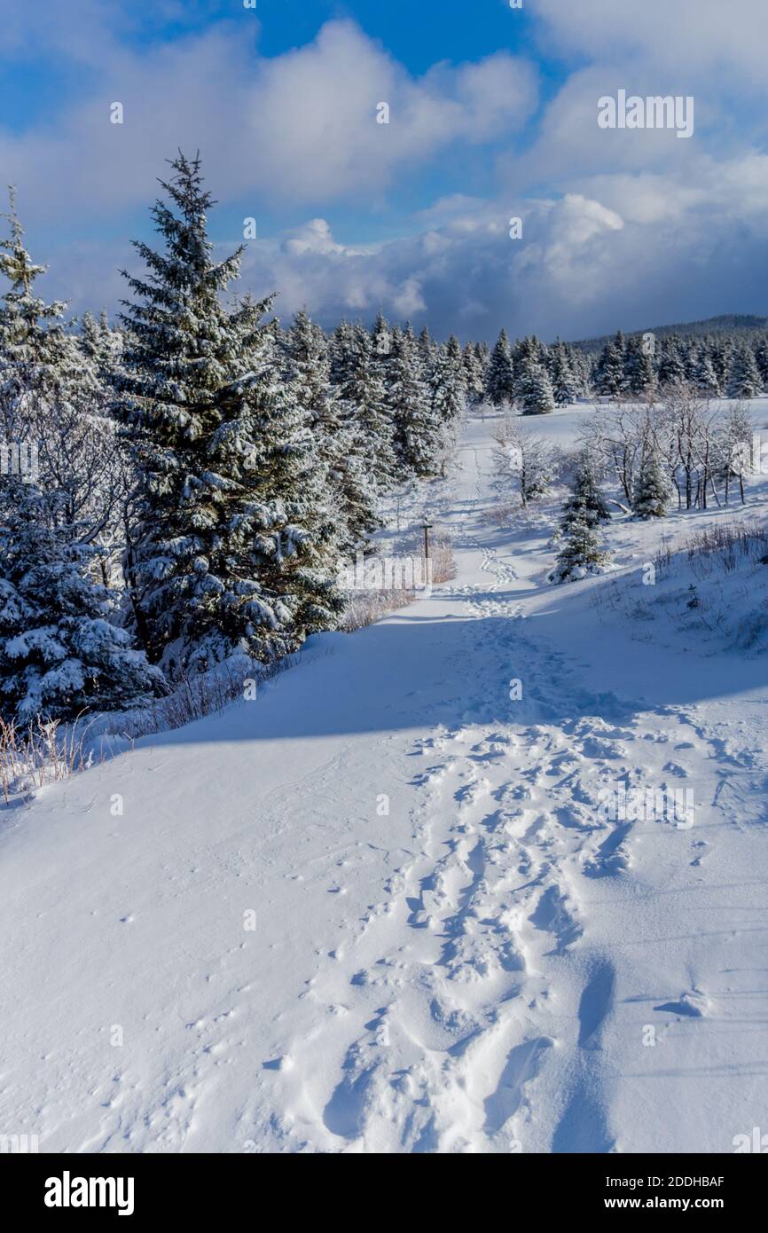 First small winter hike along the Rennsteig through the Thuringian ...