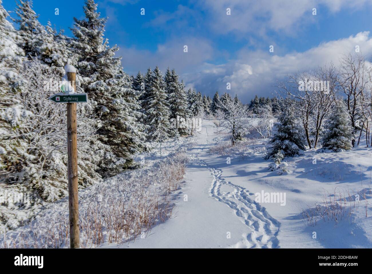 First small winter hike along the Rennsteig through the Thuringian ...