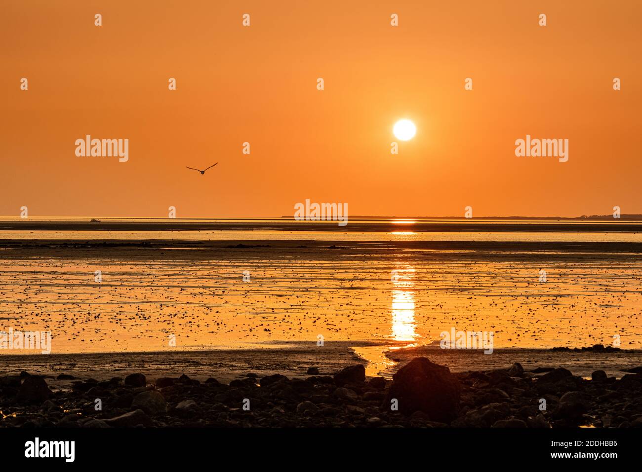 Flying over sea during sunset hi-res stock photography and images - Alamy
