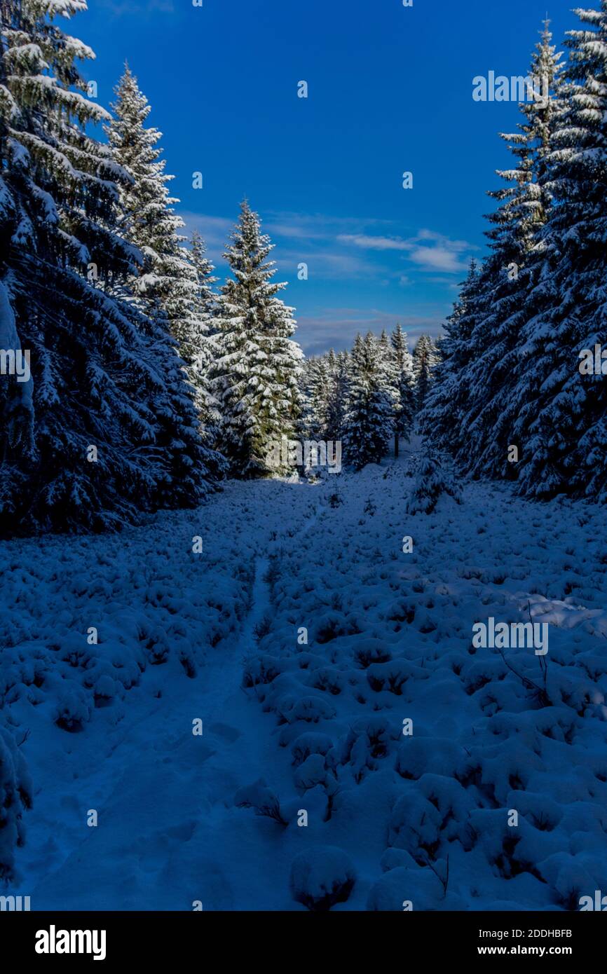 First small winter hike along the Rennsteig through the Thuringian ...