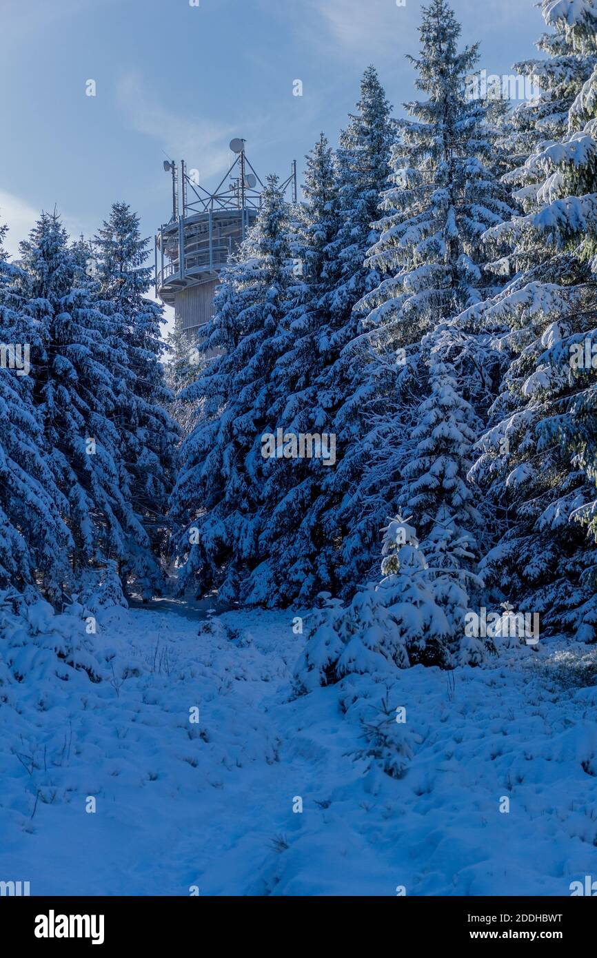 First small winter hike along the Rennsteig through the Thuringian ...