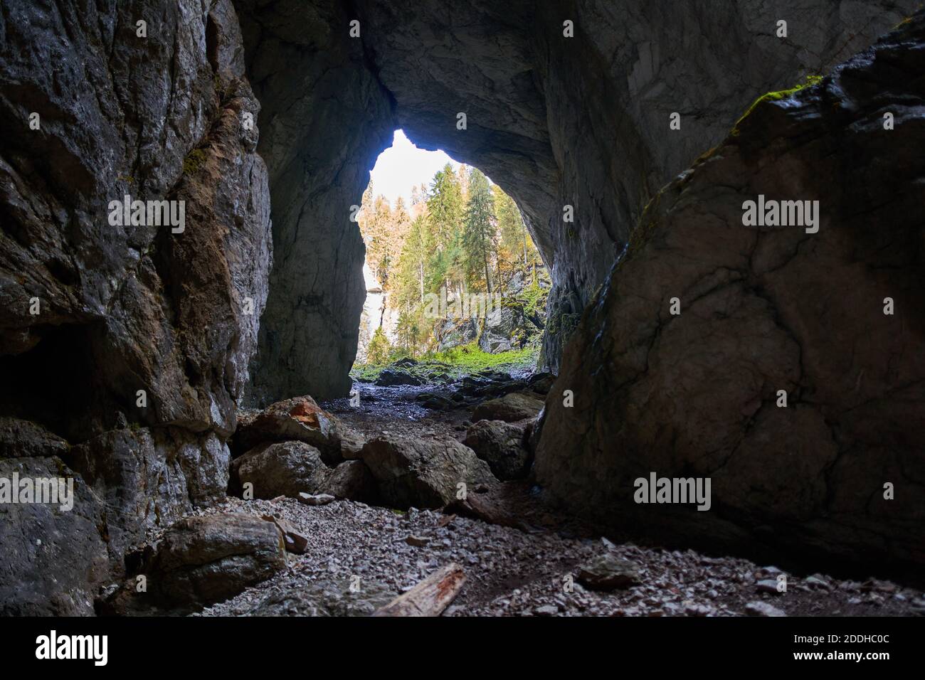 Entrance of a large cave in the limestone mountains Stock Photo - Alamy