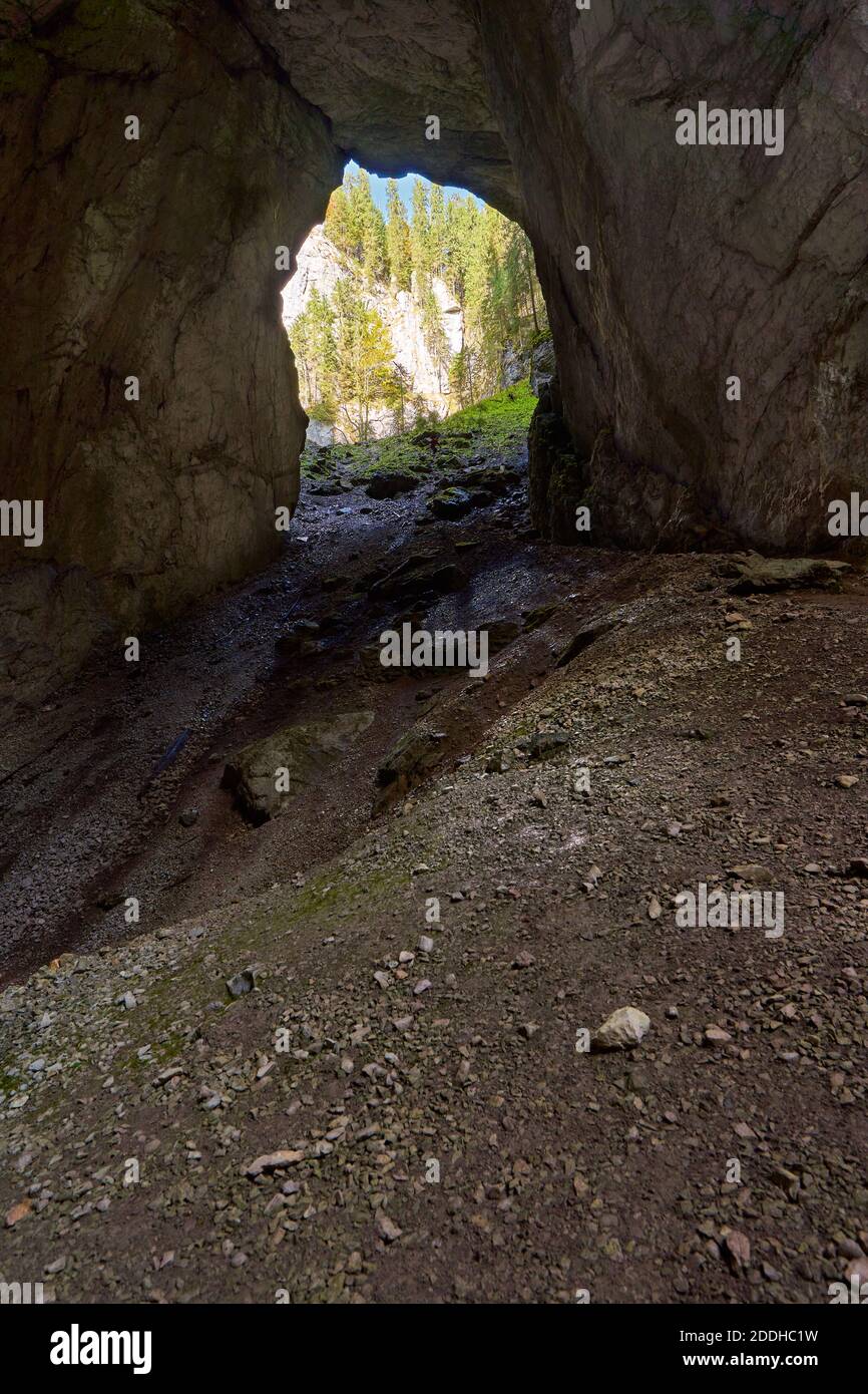 Entrance of a large cave in the limestone mountains Stock Photo - Alamy
