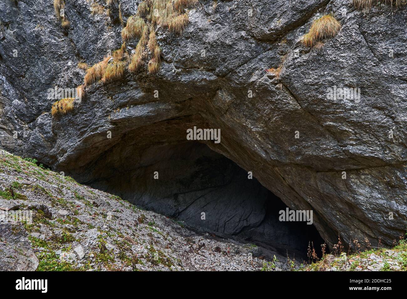 Entrance of a large cave in the limestone mountains Stock Photo - Alamy