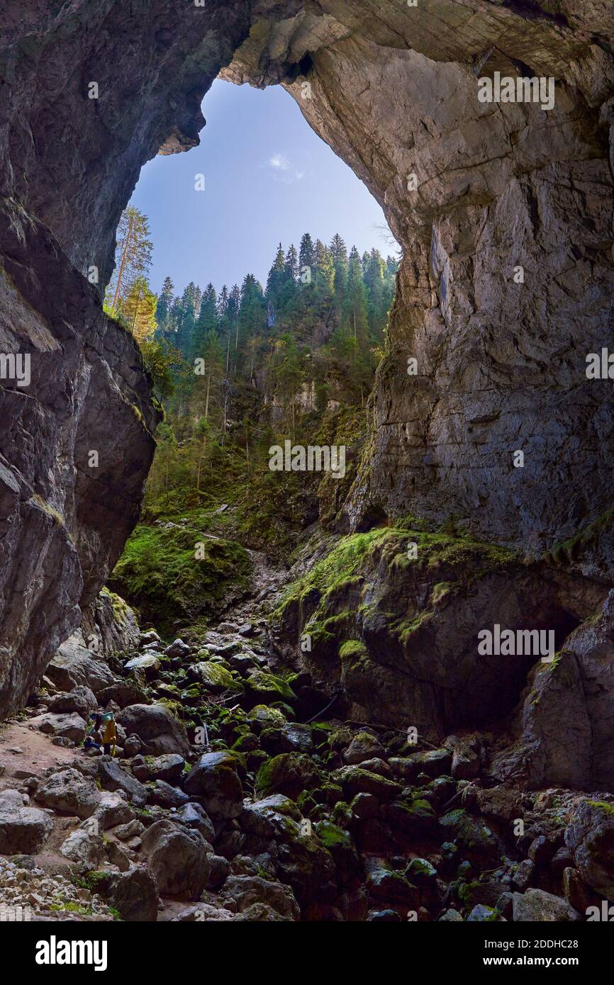 Entrance of a large cave in the limestone mountains Stock Photo - Alamy
