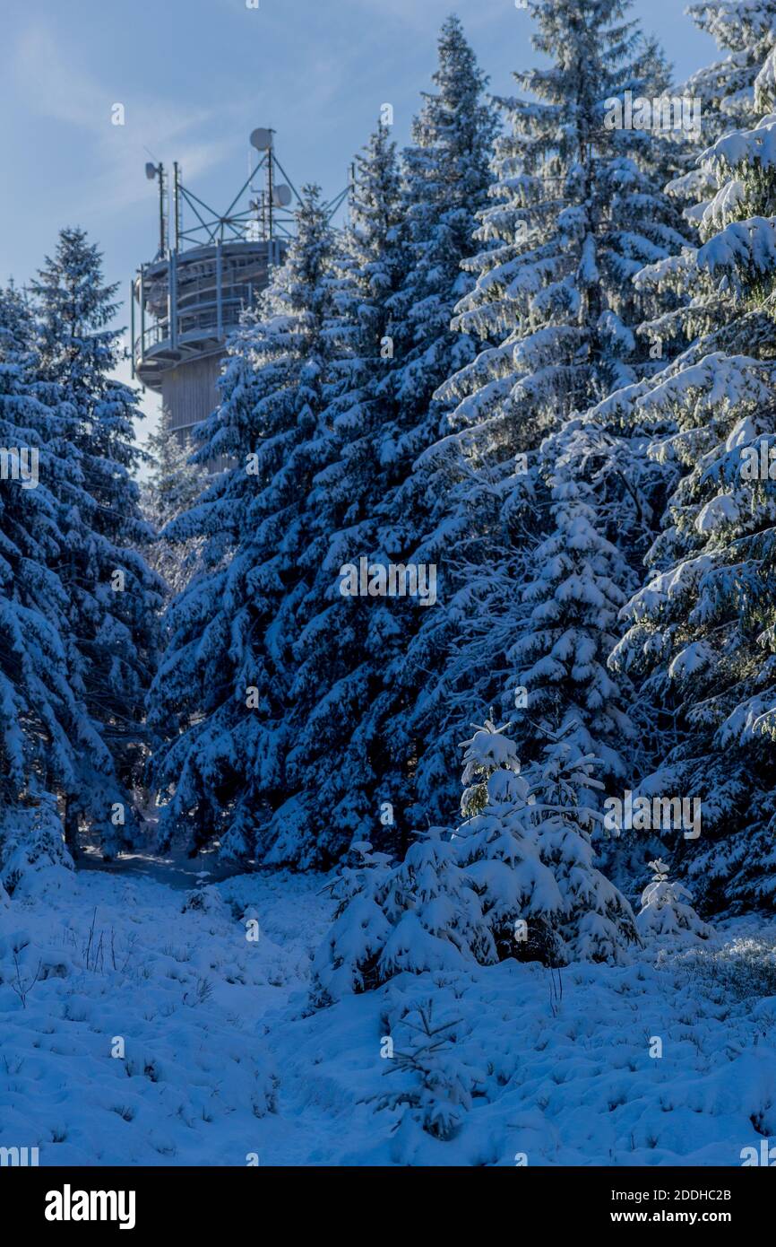 First small winter hike along the Rennsteig through the Thuringian ...