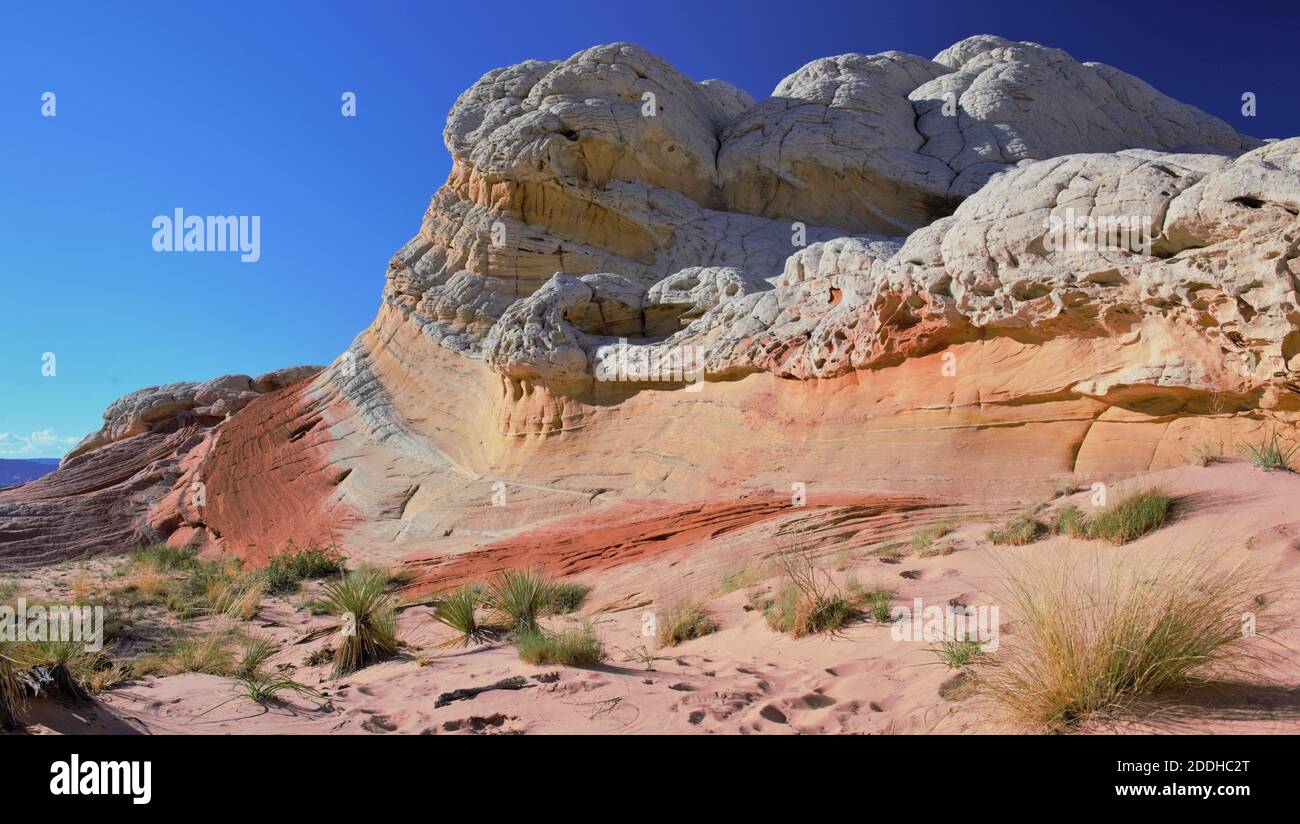 Colorful rock formations at White Pocket near Kanab Stock Photo - Alamy