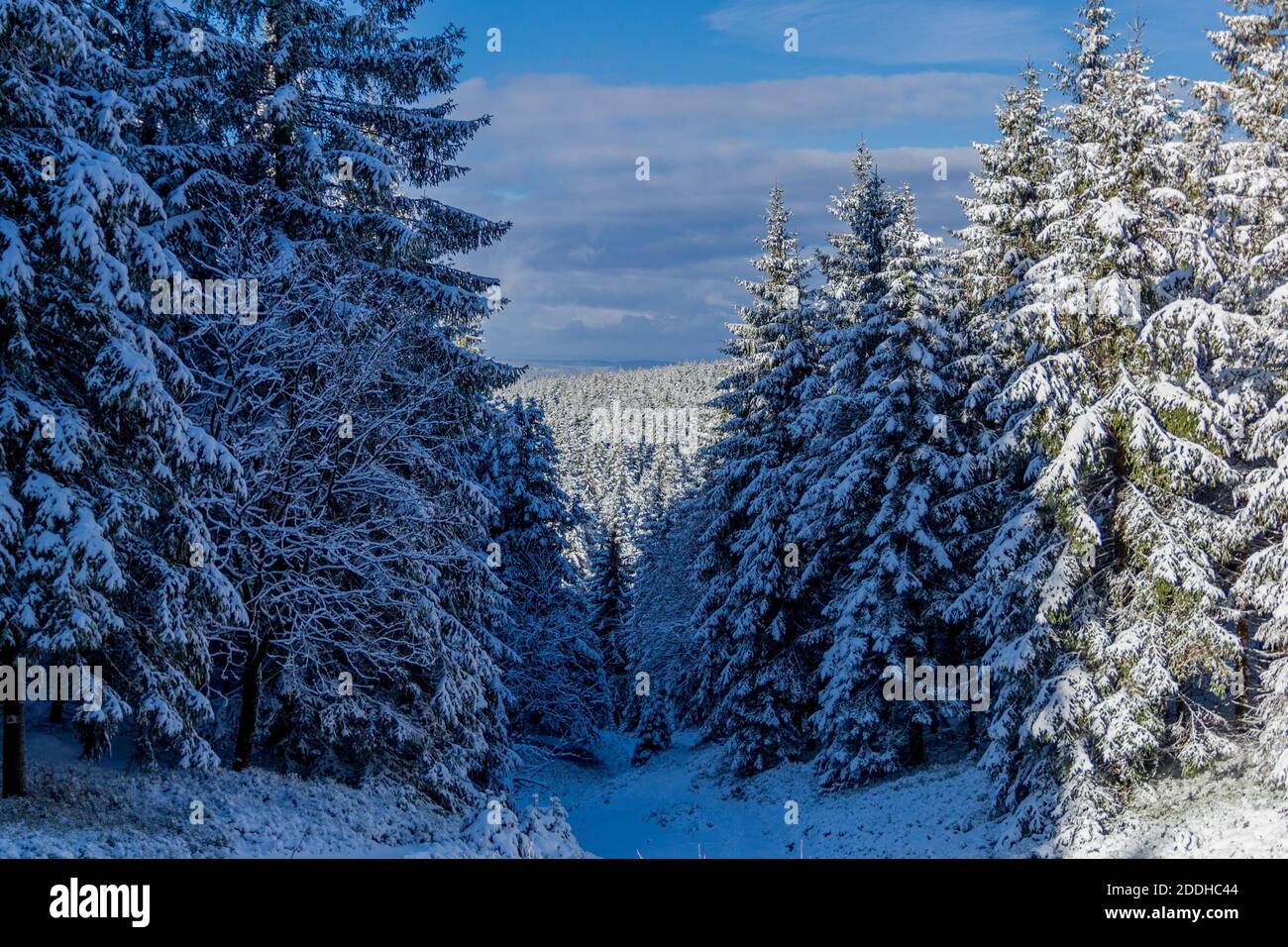 First small winter hike along the Rennsteig through the Thuringian ...