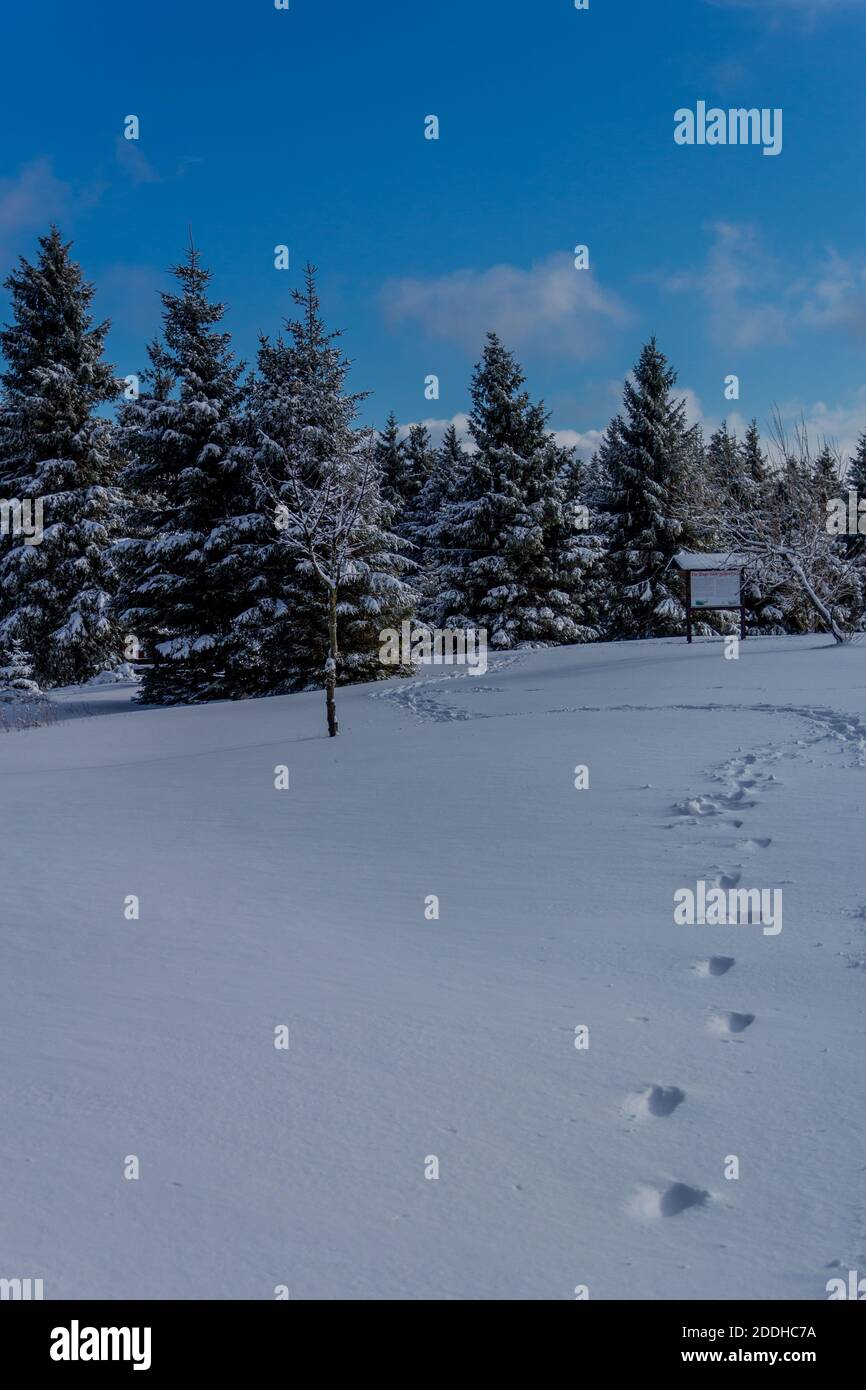 First small winter hike along the Rennsteig through the Thuringian ...