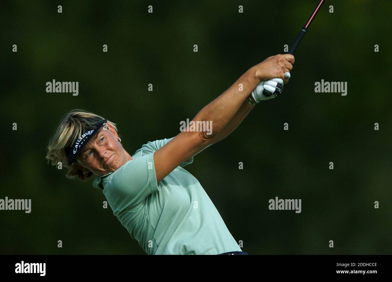 Liselotte Neumann High Resolution Stock Photography and Images - Alamy