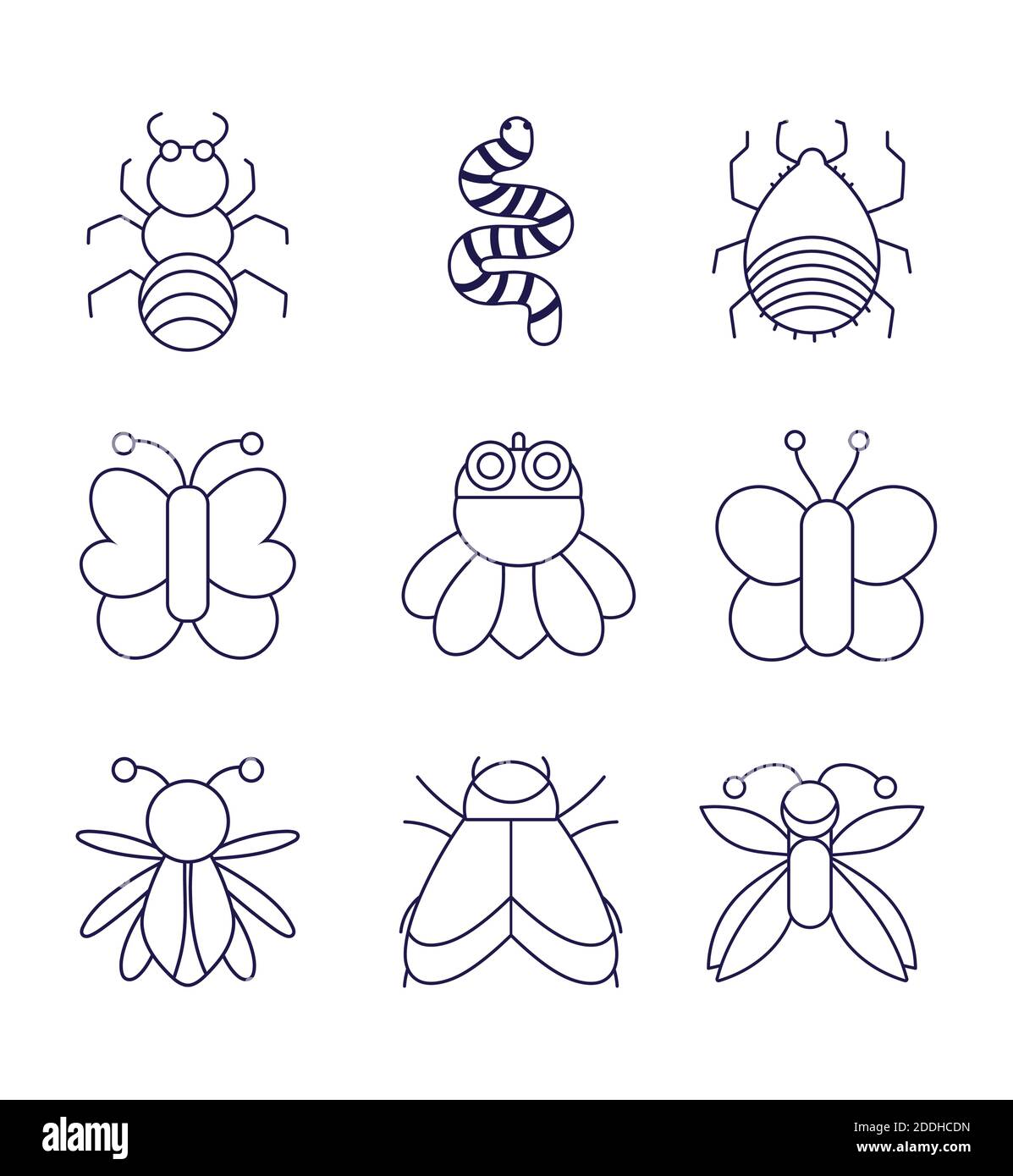 collection bugs natural animal cartoon in linear style vector ...