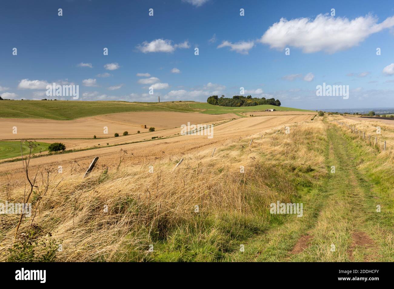 Typical english countryside hi-res stock photography and images - Alamy